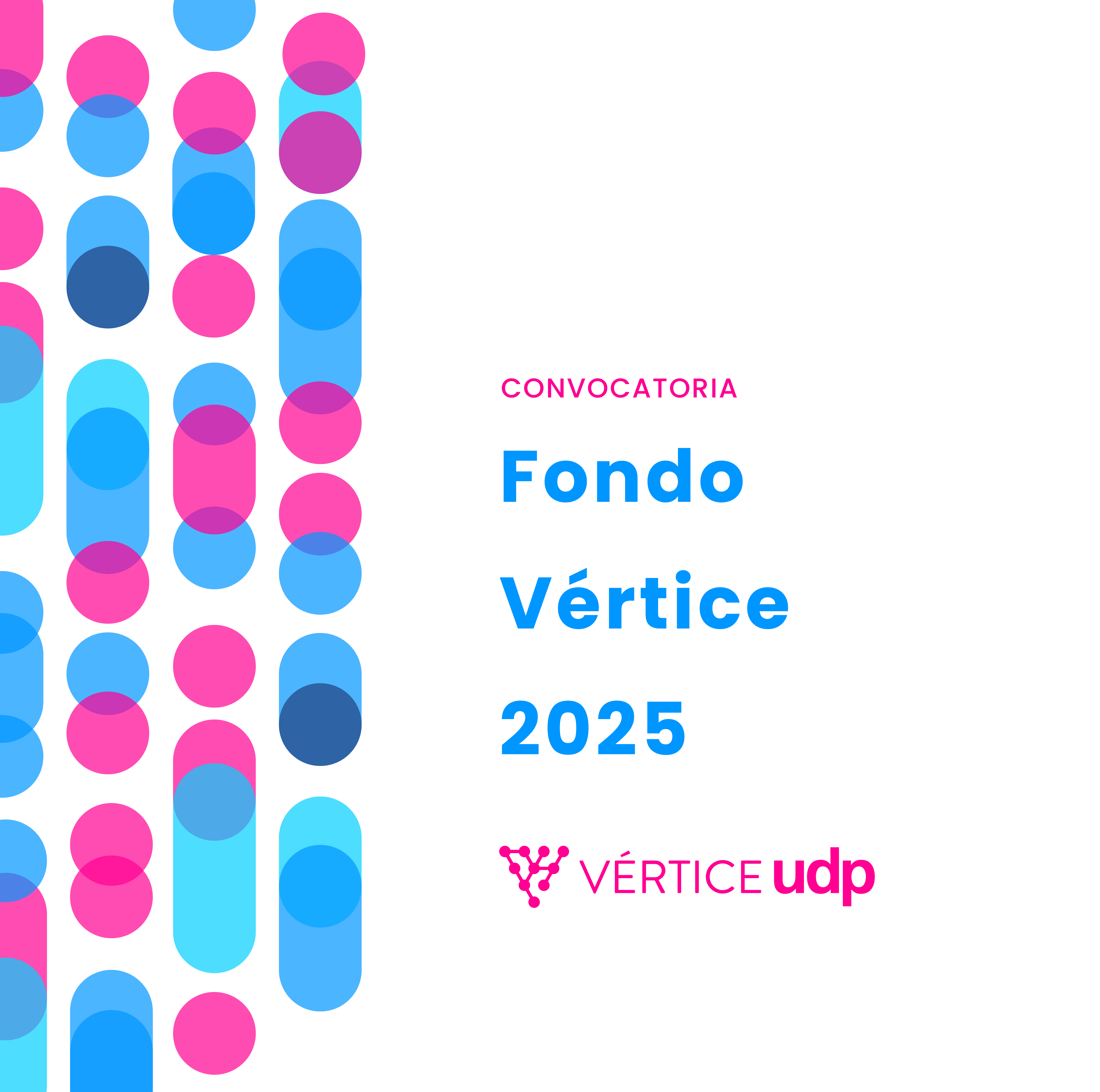 Fondo Vértice – Vértice UDP